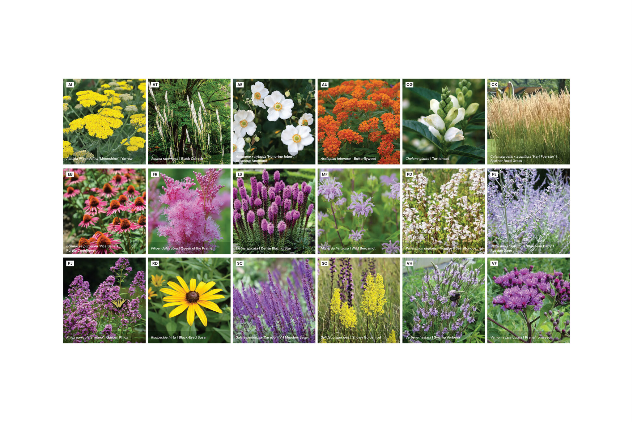 Landscape Architecture | Services | Knickerbocker Group