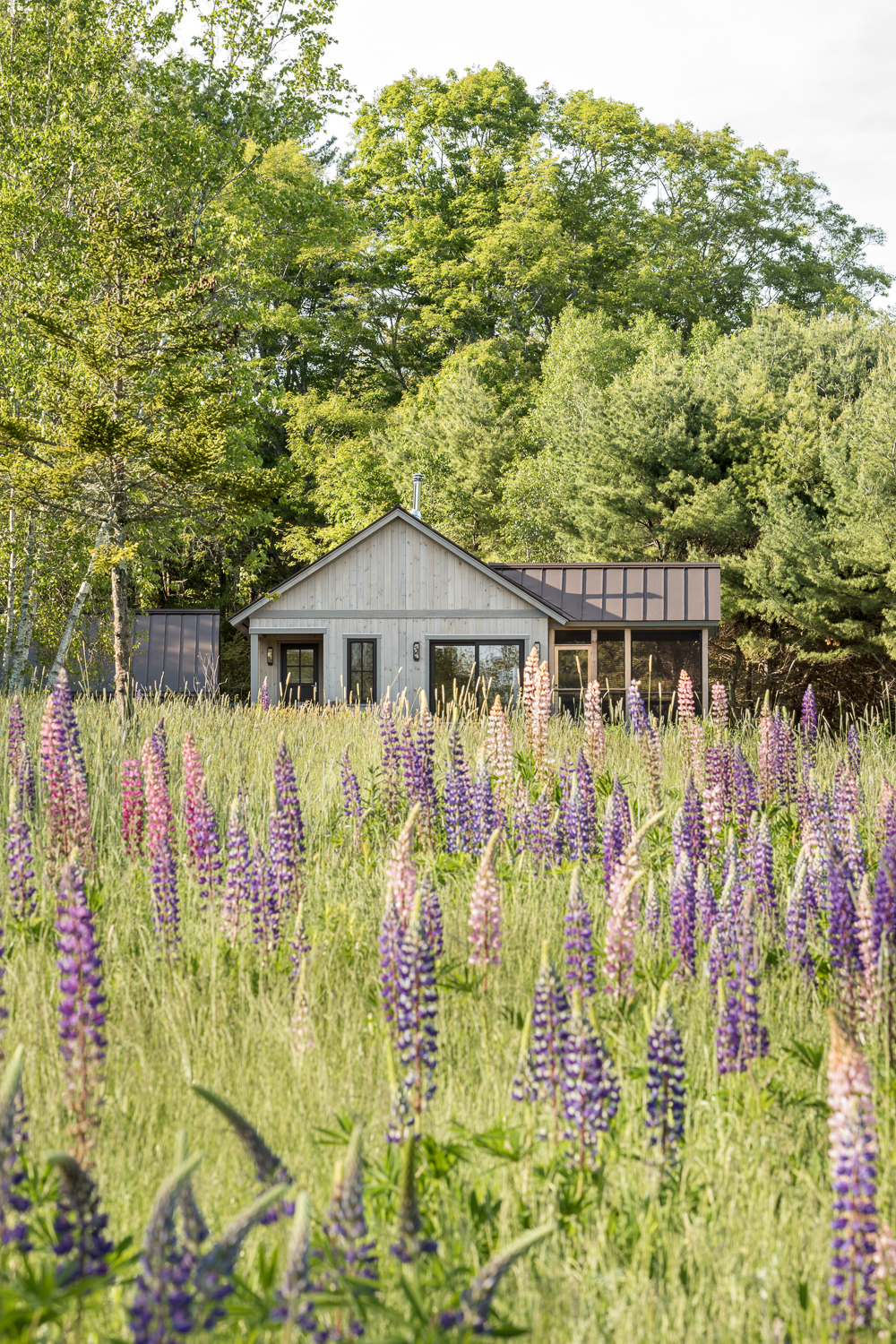 Aisling wins a Green Home + Design Award | News & Press | Knickerbocker ...